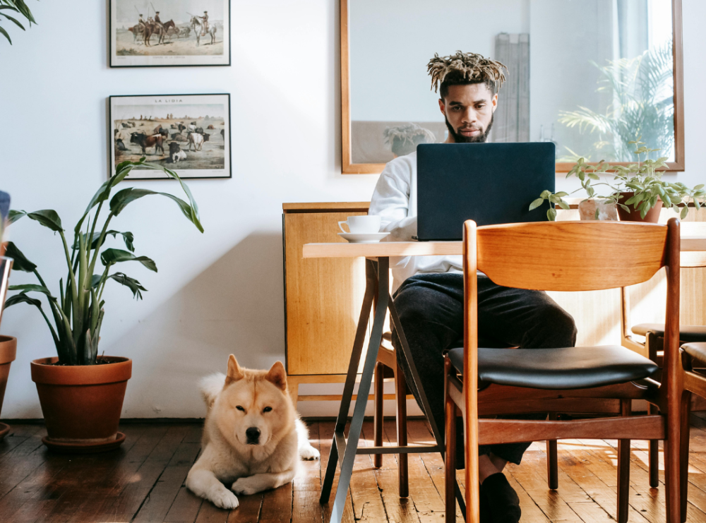 Payment methods on COACHY: How to further automate your online course ...